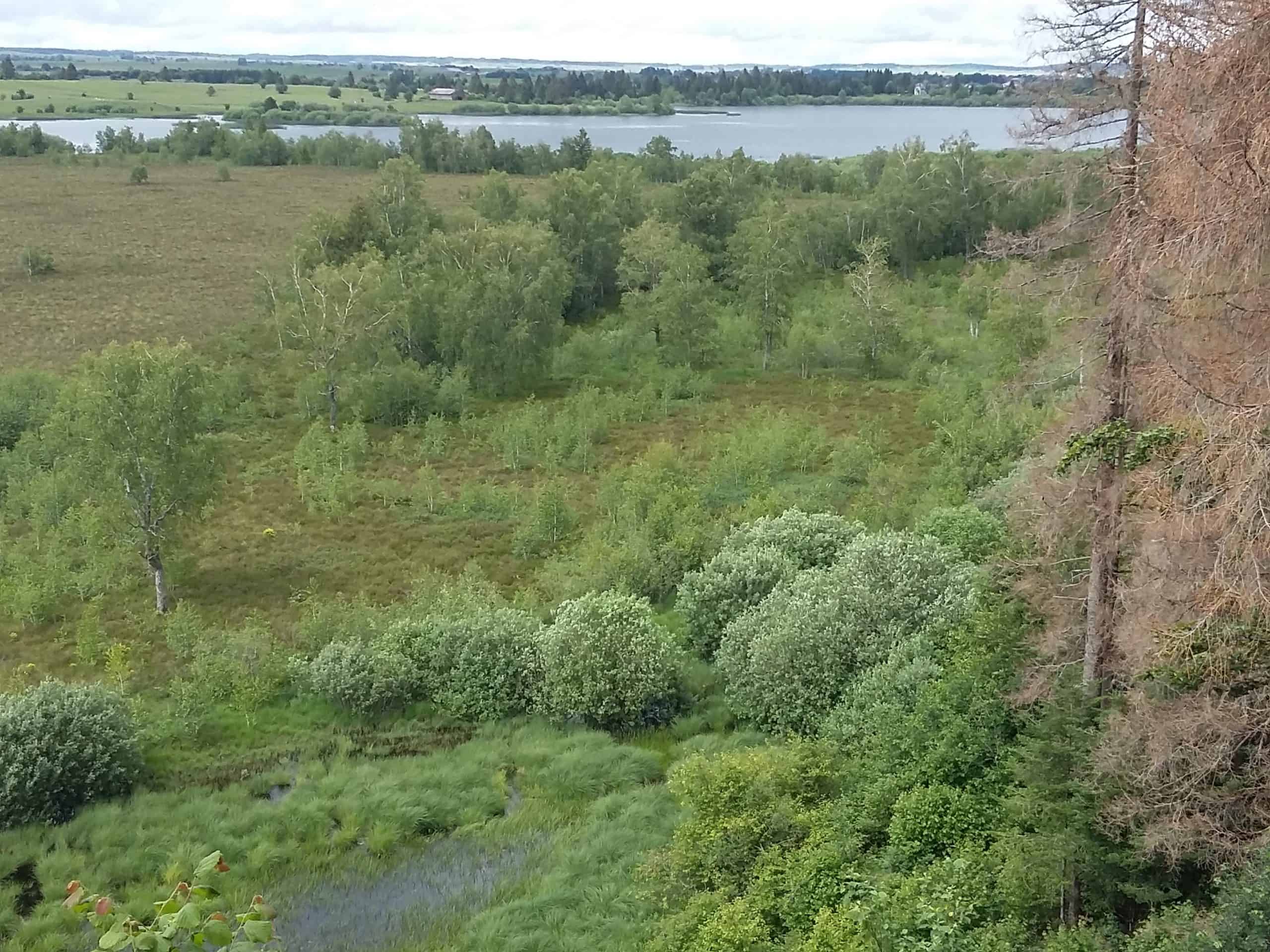 chantier de défrichement manuel de la tourbière du Varot à Bonnevaux ...